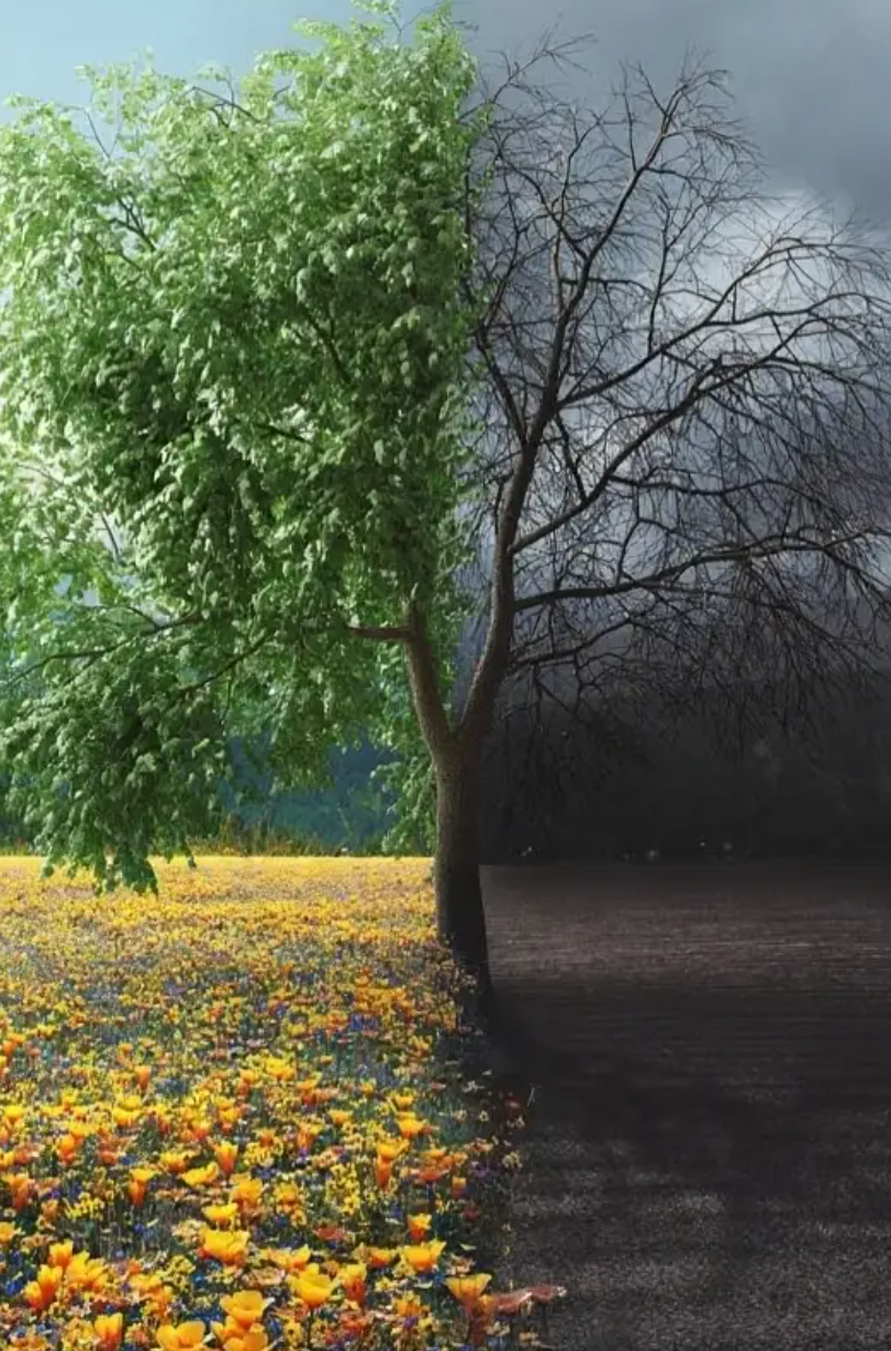 Is Your Dust Explosive? Understanding the Need for Explosion-Proof Dust ...